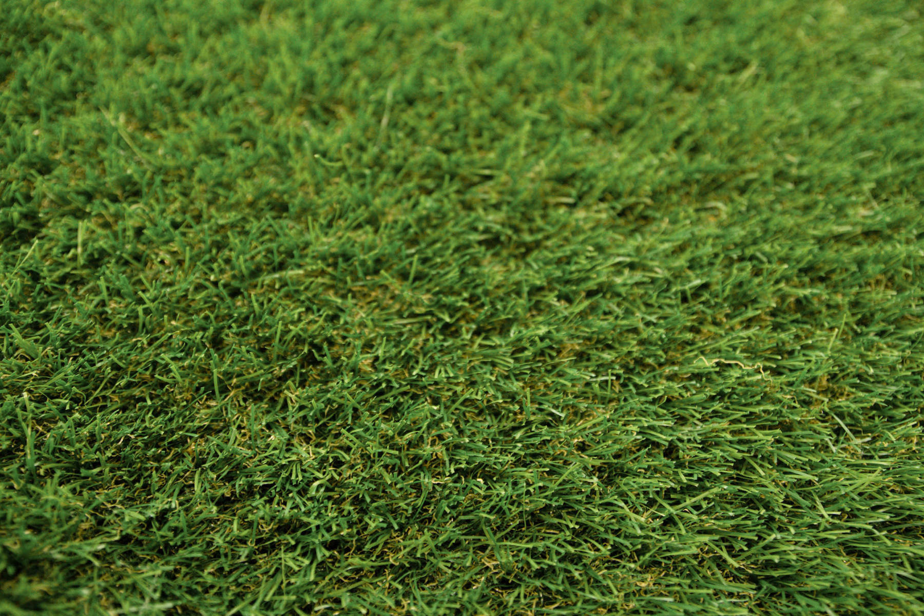 Sztuczna trawa Cuba 38 mm Zieleń szerokość 5 m | Akcila.sklep.pl